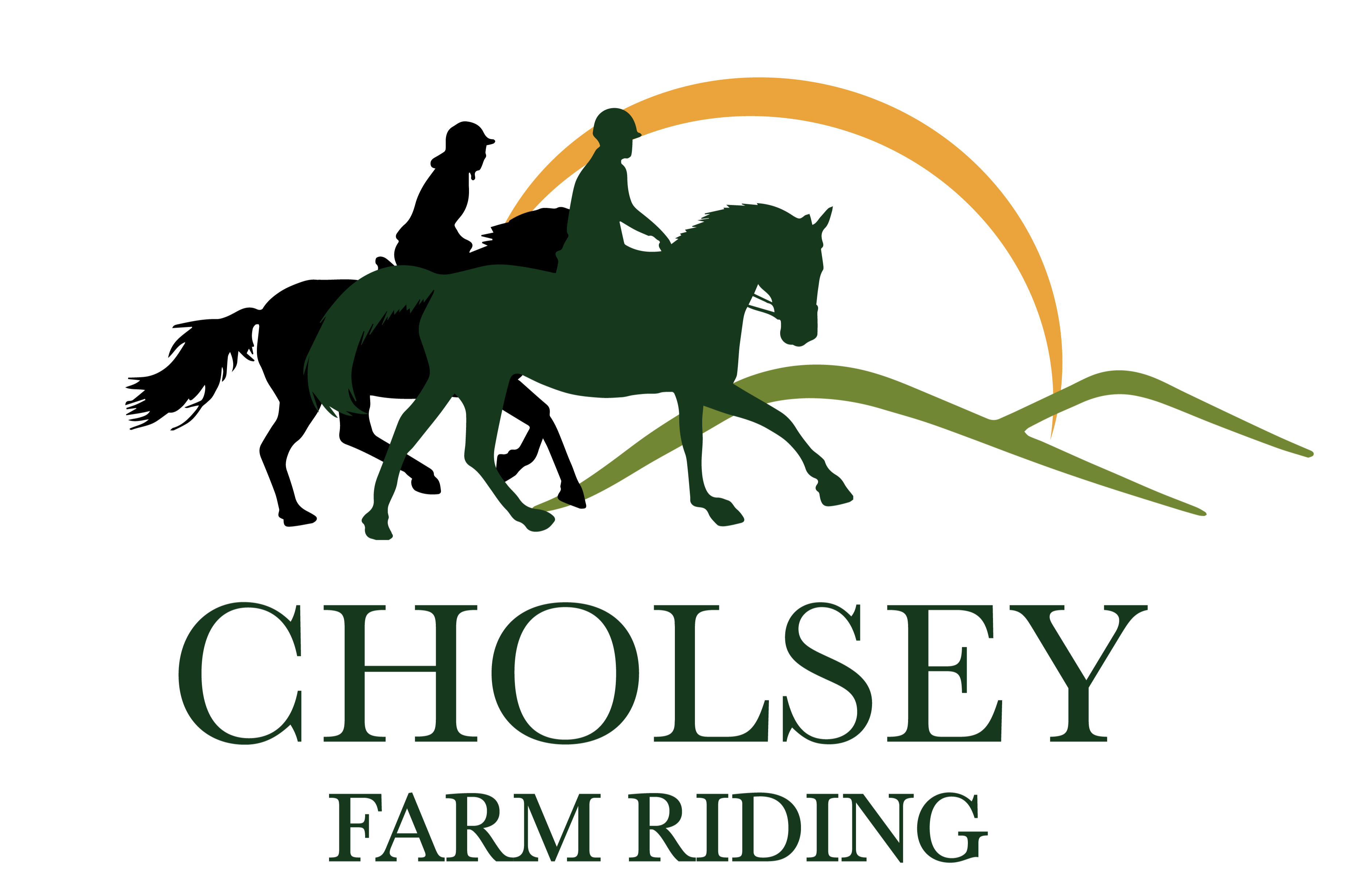 Cholsey Farm Riding Hack Your Own Horse In The Chiltern Hills